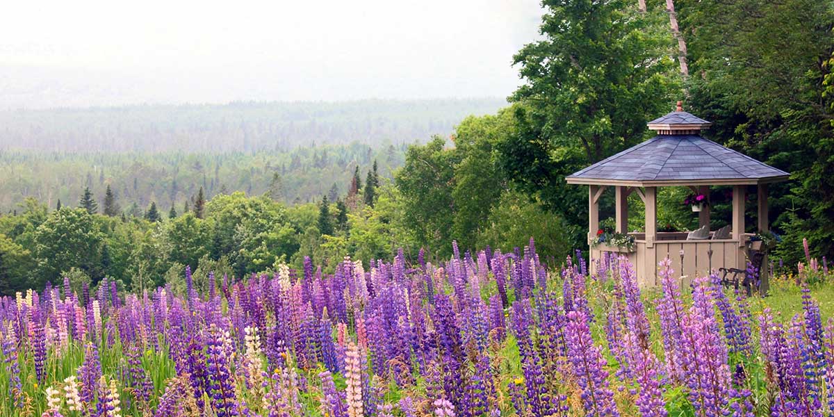 Maine Vacation Travel Guide | Resorts, Hotels, Things to do in Maine